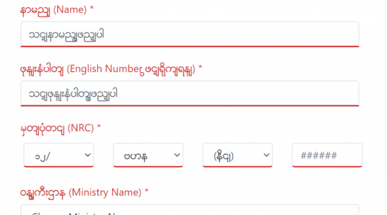 CDM staff can now register on cdmmyanmar.org Website | Myanmar Tech Press
