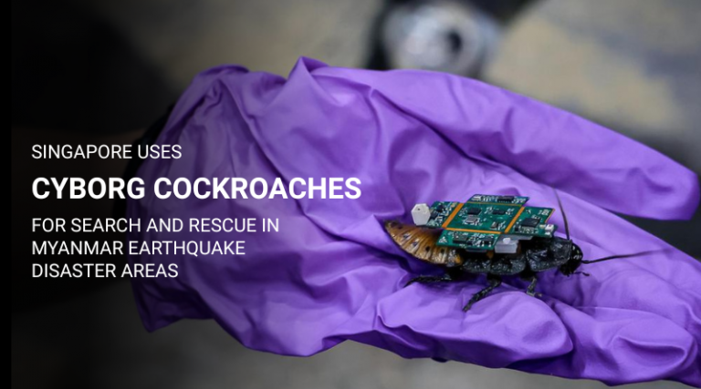 Singapore uses cyborg cockroaches for search and rescue in Myanmar ...